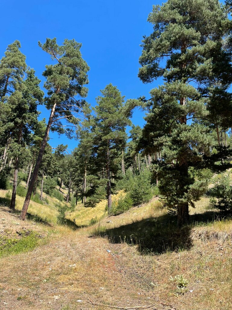 Piknik alanı Çat Yaylası, Çayıralan, foto
