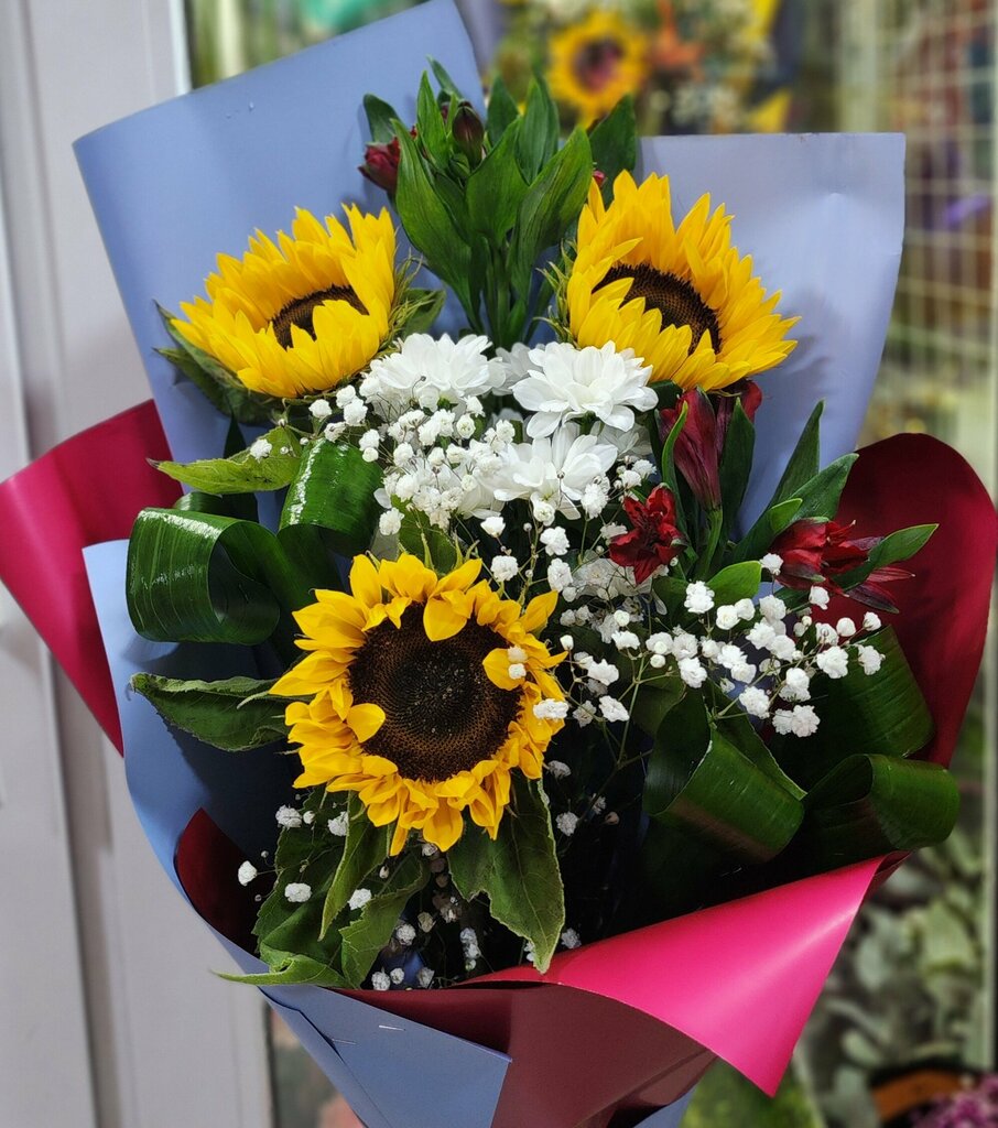 Petshop Zootovary and Tsvety, Saint‑Petersburg, foto