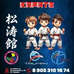 Триумф (Revolyutsionnaya ulitsa No:16), spor kulüpleri  Kazan'dan