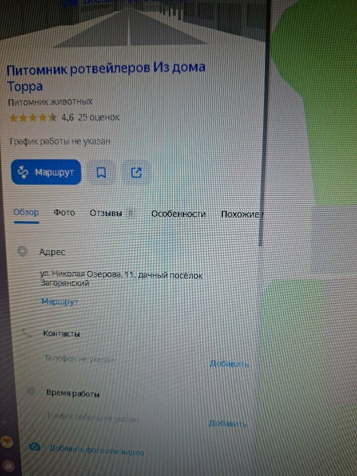 Evcil hayvan yetiştiricileri Питомник ротвейлеров Из дома Торра, Moskova ve Moskovskaya oblastı, foto