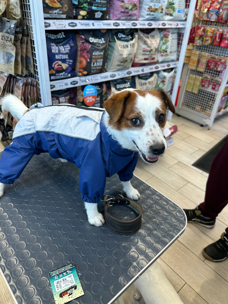 Petshop Четыре Лапы, Moskova ve Moskovskaya oblastı, foto