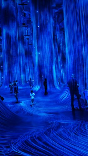 Müzeler ve sanat galerileri TeamLab Phenomena, Abu Dabi, foto