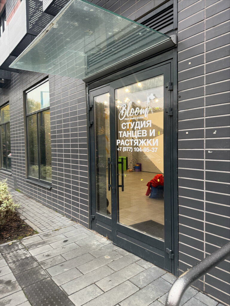 Dans okulları Bloom, Moskova ve Moskovskaya oblastı, foto