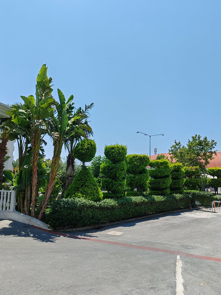 Bar Royal Palace Lobby Bar, Manavgat, foto