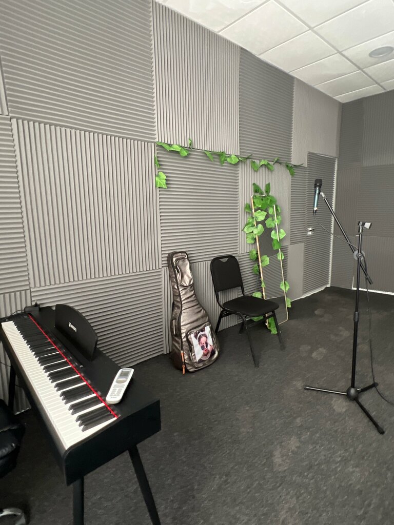 Müzik okulları ve konservatuarlar The Alt Studio, Taşkent, foto