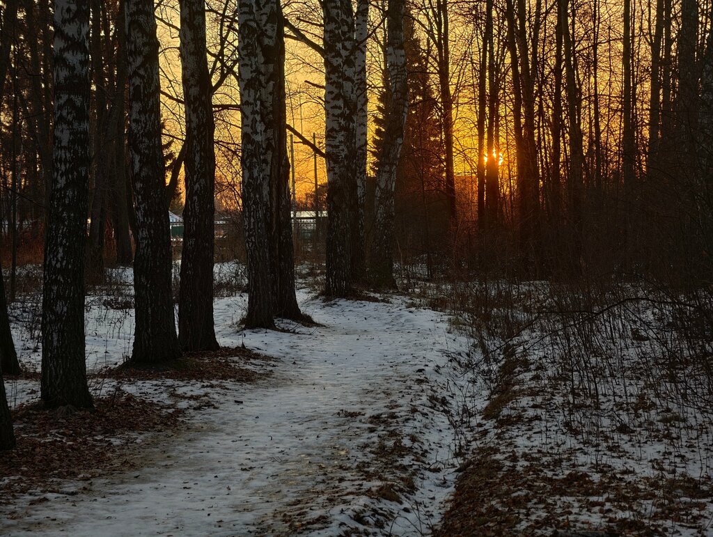 Kültür ve eğlence parkları Районный сад, Omskaya oblastı, foto