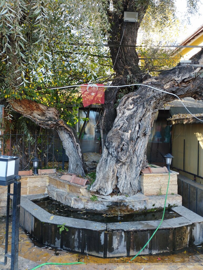 Kafe Söğütlüçeşme, Eskipazar, foto