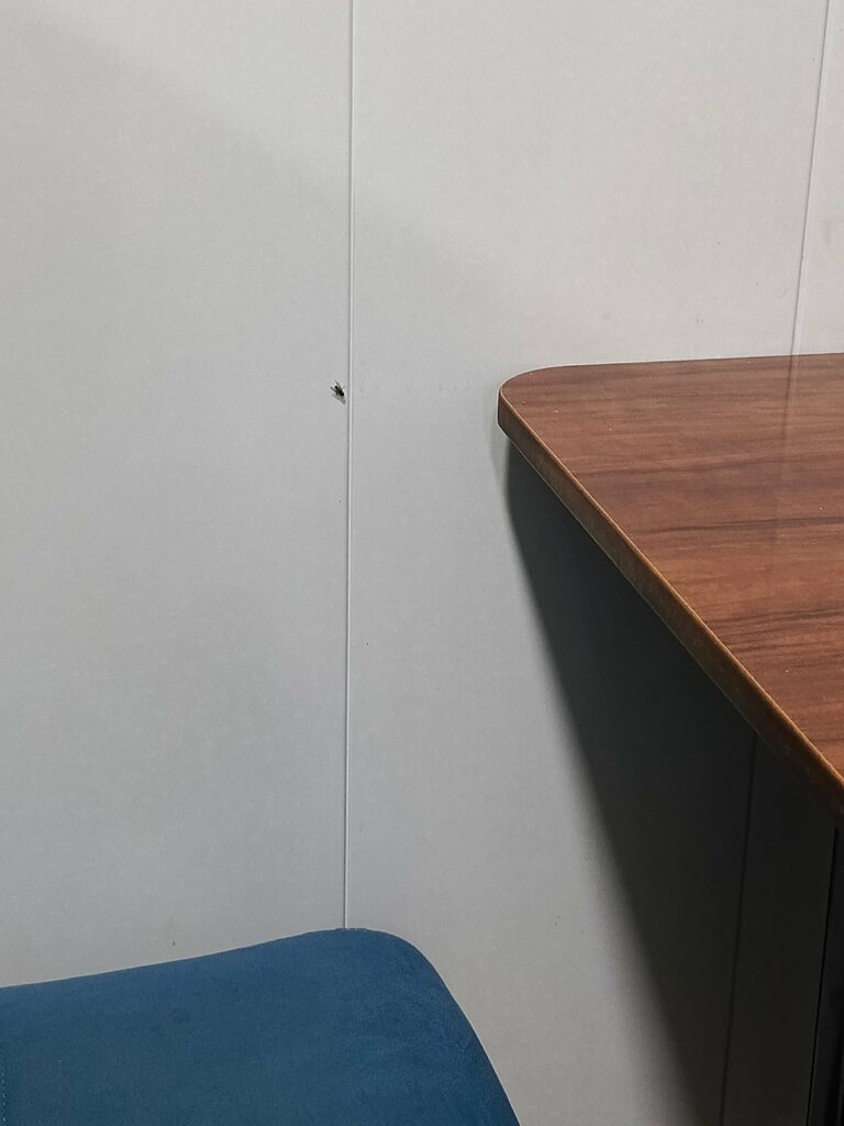 Kafe Shashlychnaya, , foto