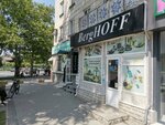 BergHoff (strada Sarmizegetusa No:1), züccaciye mağazaları  Kişinev'den
