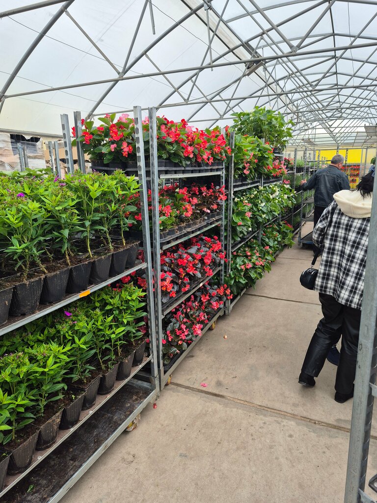 Seracılık Цветочный остров, Moskova ve Moskovskaya oblastı, foto