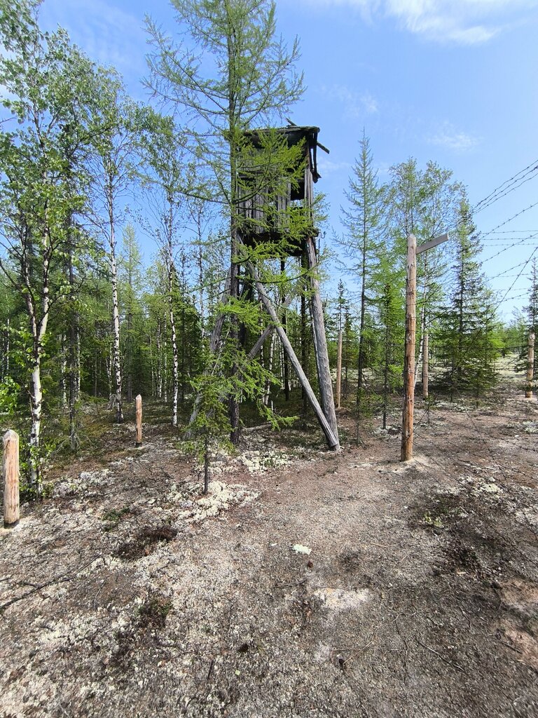 Unutulmaz olayların yeri Лагерный пункт стройки № 501 Разъезд Глухариный, Yamal‑Nenets Özerk Bölgesi, foto