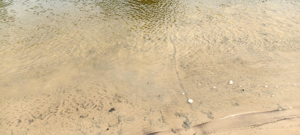 Plaj Beach, Smolensk, foto