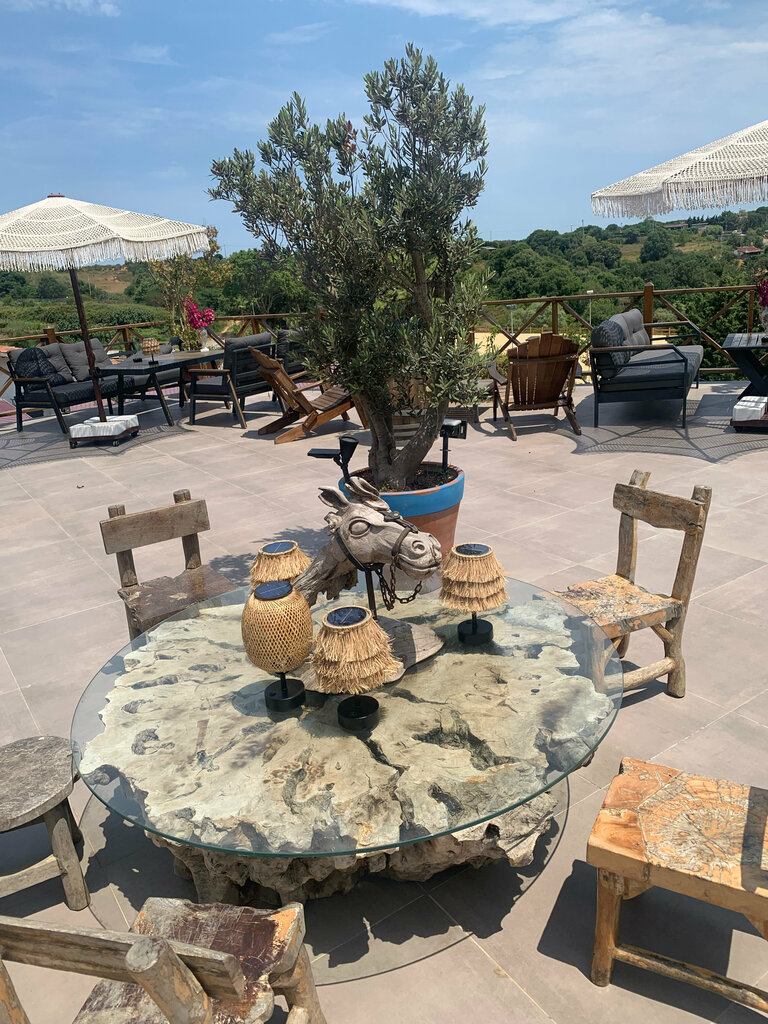 At ve binicilik kulüpleri Mavi At Binicilik Merkezi, İstanbul, foto