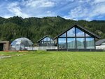 Alpine clube (Republic of Altai, Chemalskiy rayon, Uznezinskoye selskoye poseleniye, klubny poselok Villadzh Park Katun), resort oteller, tesisler  Altay Cumhuriyeti'nden