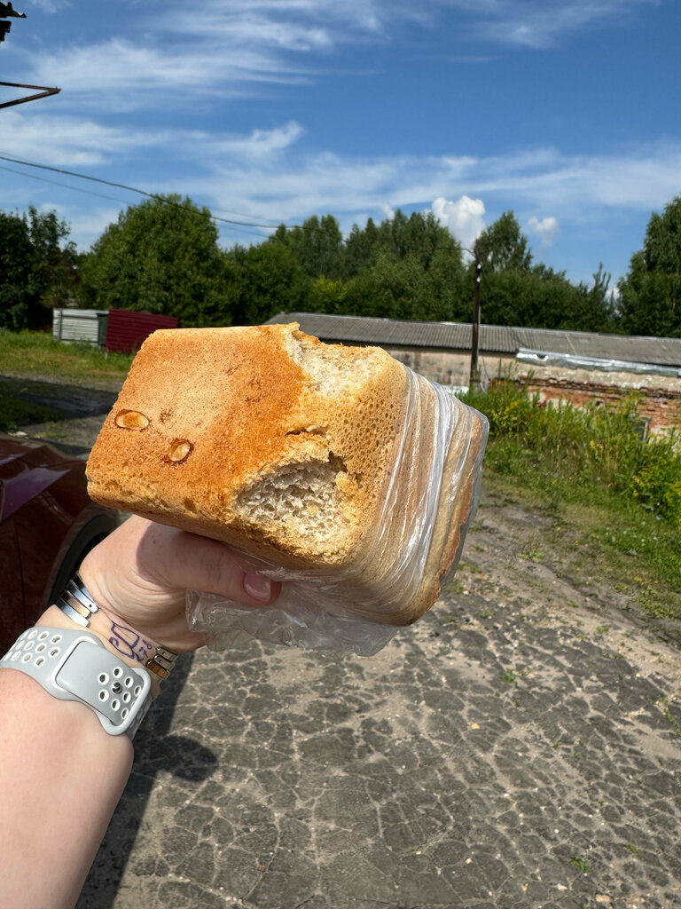 Ekmek fabrikaları Варнавинский хлебозавод, Nijegorodskaya oblastı, foto