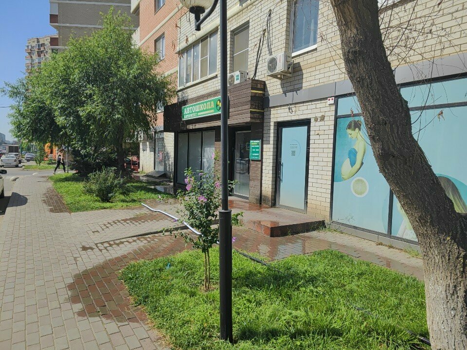 Yönetim ofisi Репродукция, Krasnodar, foto