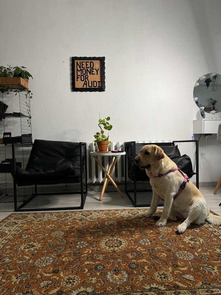 Güzellik salonu Яркость, Moskova, foto