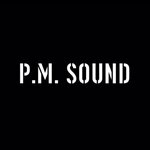 P. M. Sound (Bazarnaya ulitsa No:9А, stanitsa Severskaya), tuning  Krasnodarski krayından