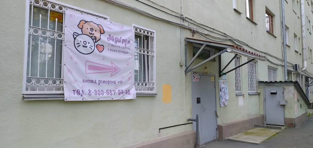 Evcil hayvan kuaförleri ЛедиГрум, Çeliabinsk, foto