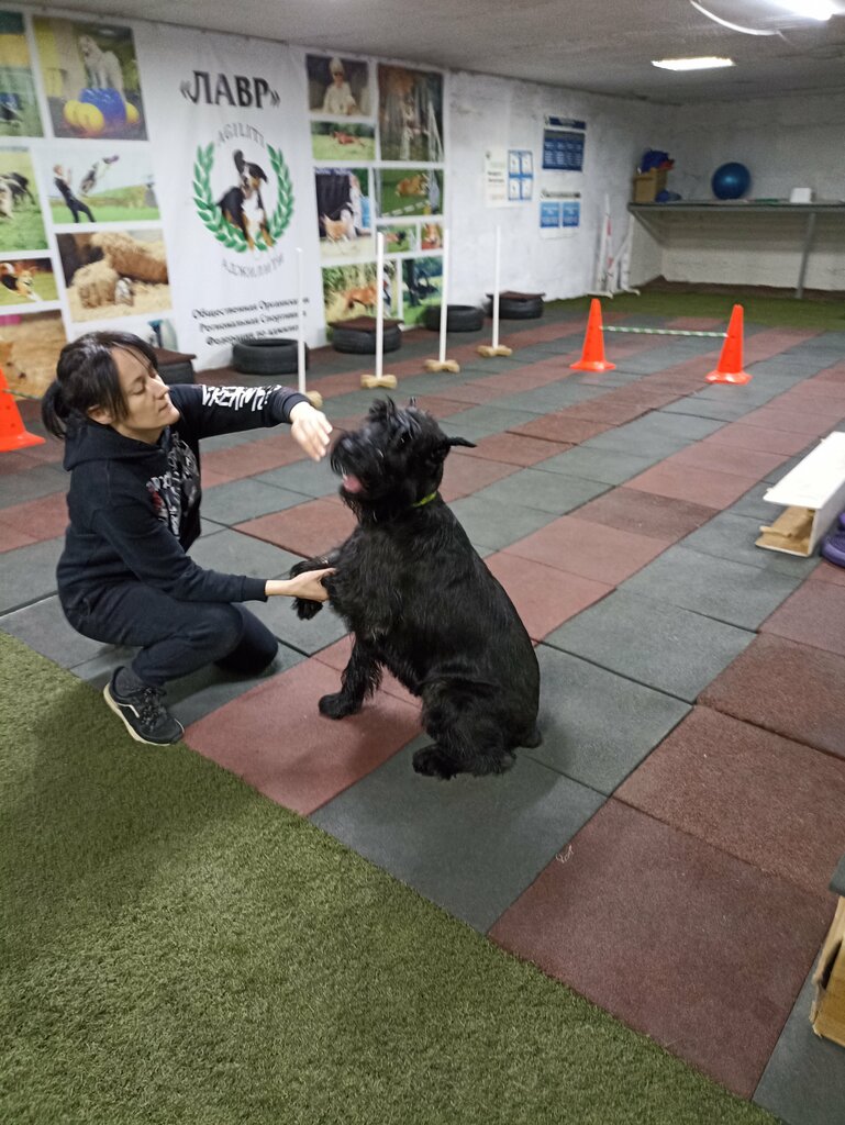 Köpek gezdirme alanları Лавр, Pyatigorsk, foto
