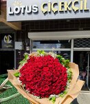 Lotus Çiçekçilik (Sultan Fatih Cad., No:25D, Mamak, Ankara), çiçekçiler  Ankara'dan