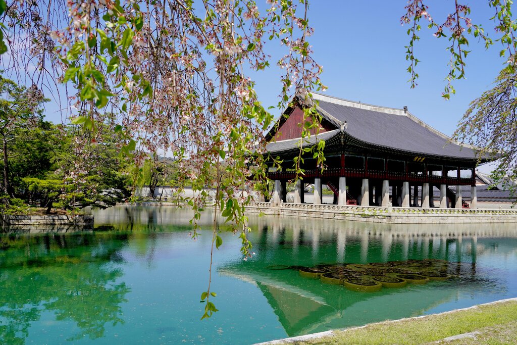 Seyahat acenteleri Экскурсии в Сеуле, Seul, foto