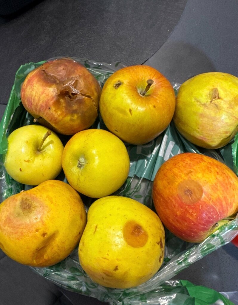 Süpermarket Dixy, Moskova ve Moskovskaya oblastı, foto