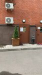Studio Koroleva (Severny proyezd No:15), podoloji  Protvino'dan