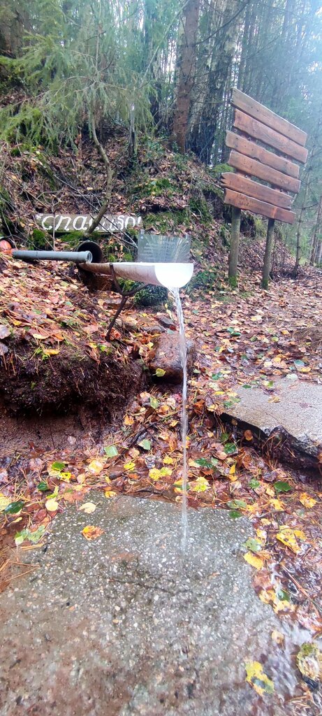 Pınar, çay Spring, stream, Saint‑Petersburg ve Leningradskaya oblastı, foto