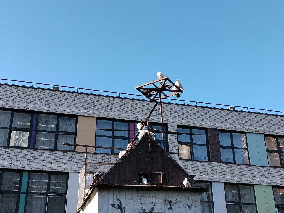 Kuşlar için büyük kafes Aviary, Yekaterinburg, foto