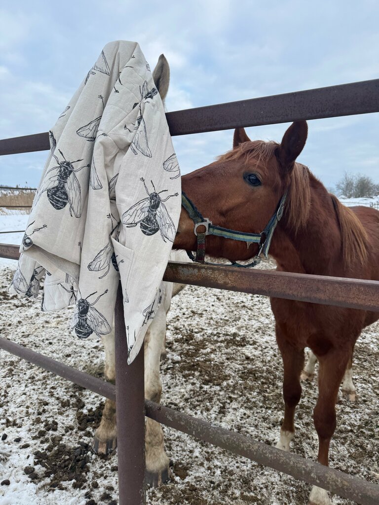 Terziler Швейный дом на игле, Krasnoye Selo, foto