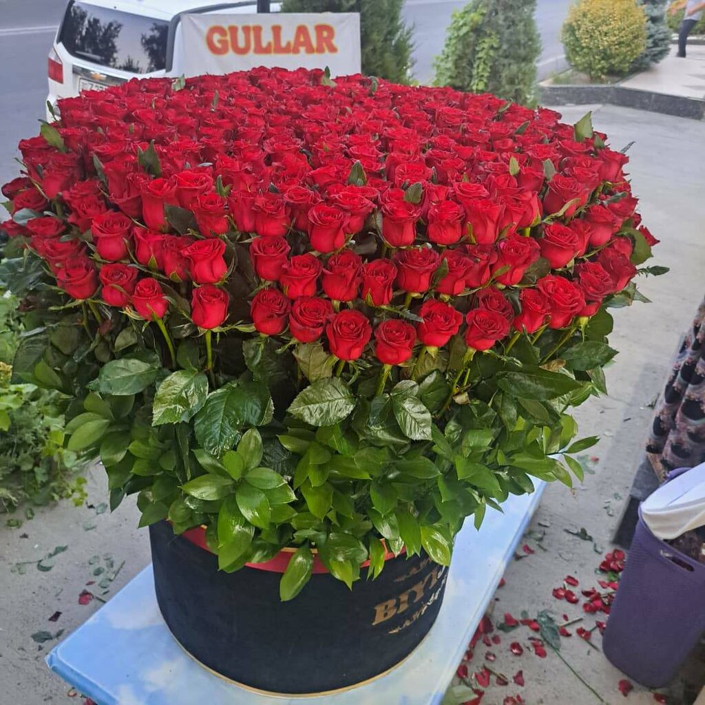 Çiçekçiler Garden rose, Semerkant, foto