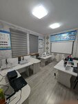 Asyl Auto (Táýke Han dańǵyly No:63), sürücü kursları  Çimkent'ten (Şımkent'ten)