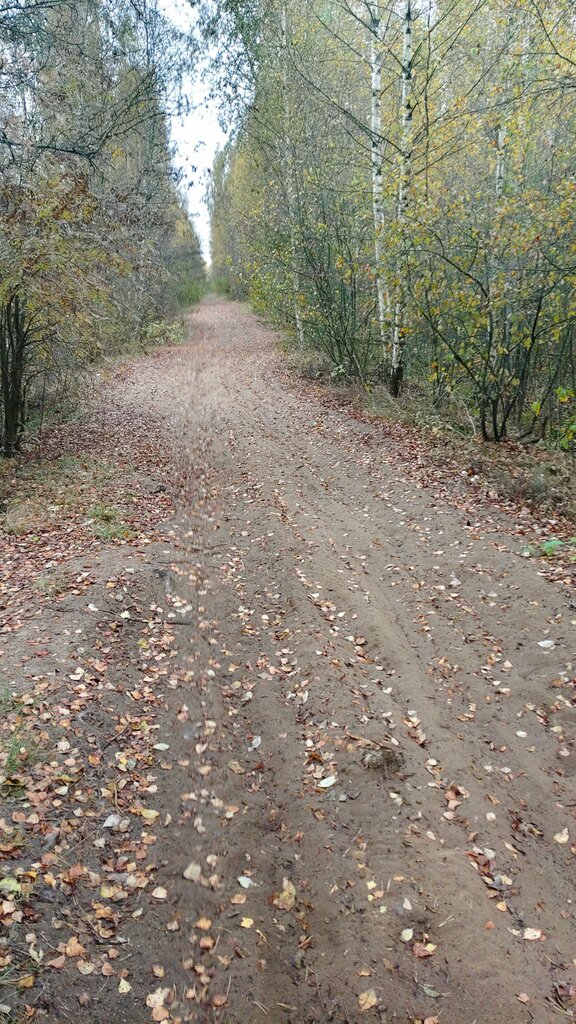 Turistik yerler Место Падения. Самолета. Ил-2, Saint‑Petersburg ve Leningradskaya oblastı, foto