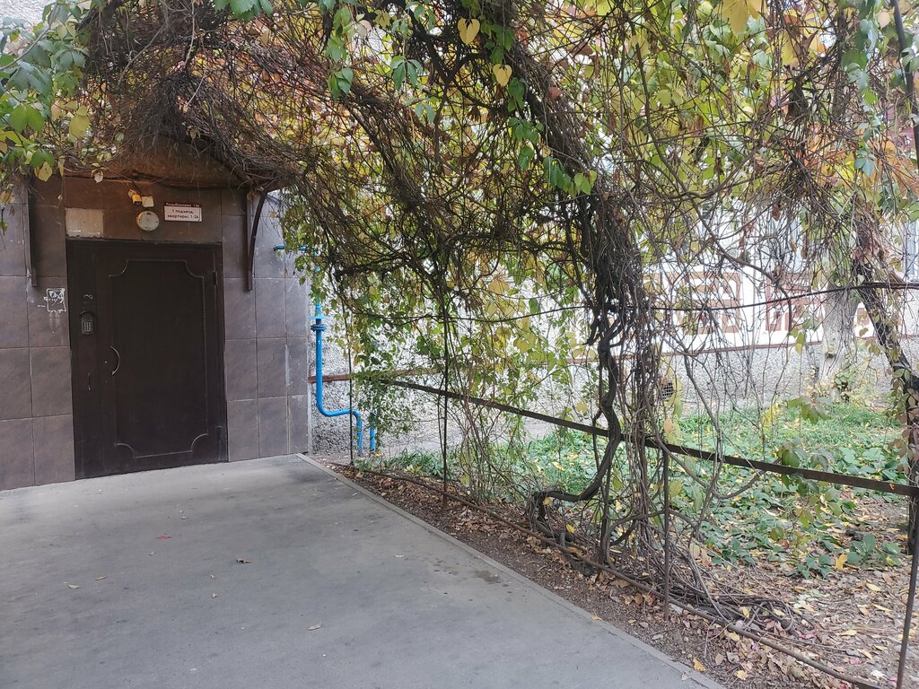 Tıp merkezleri ve klinikler Sabit hijama, Almatı, foto