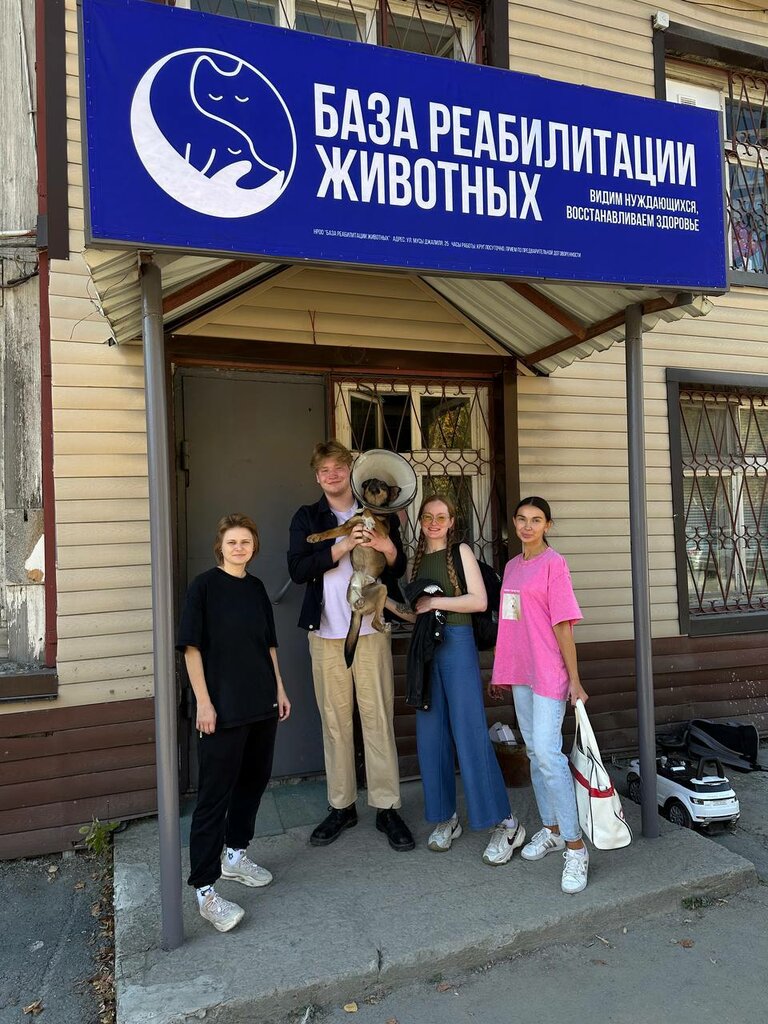 Yardım kuruluşları Лапочка, Novosibirsk, foto