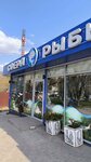 Сфера рыбы (Solzhenitsyna Avenue No:15/1с1), market  Rostov‑na‑Donu'dan