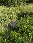 Spring, stream (R-99), pınar, çay  Brestskaya oblastından