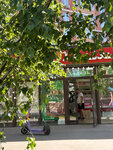 Продукты Халяль (Beryosovaya Street No:5А), market  Vidnoye'den