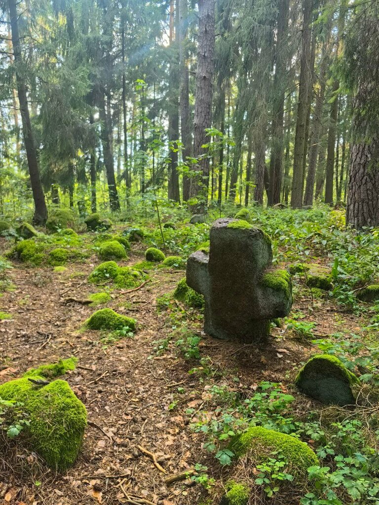 Turistik yerler Каменные кресты, Vitebskaya oblastı, foto