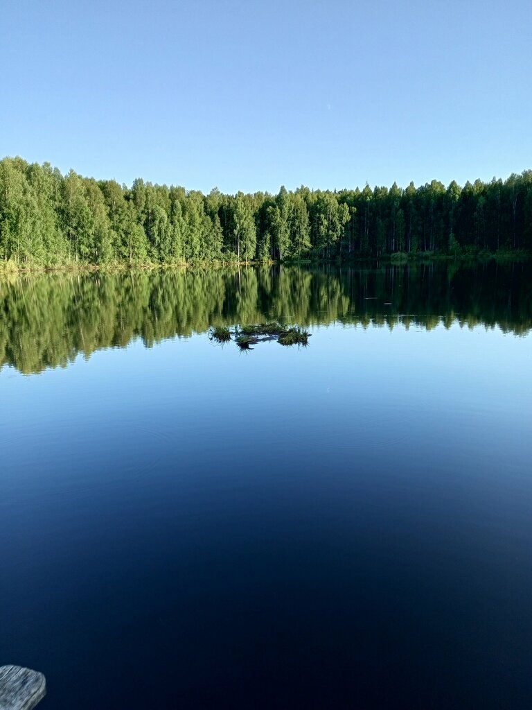 Piknik alanı Место для пикника, Kirovskaya oblastı, foto