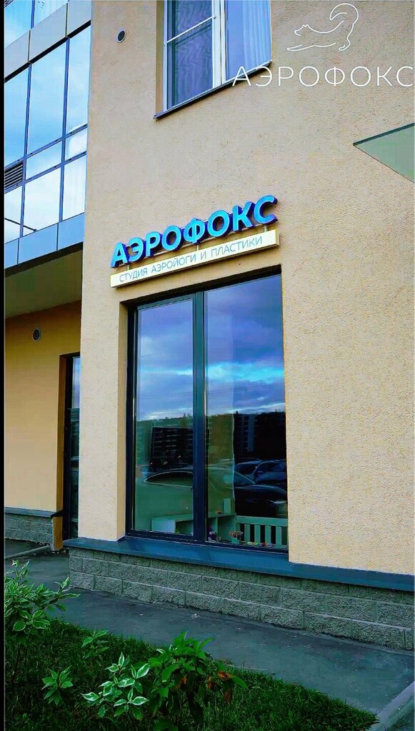 Yoga stüdyosu Aerofox, Saint‑Petersburg, foto