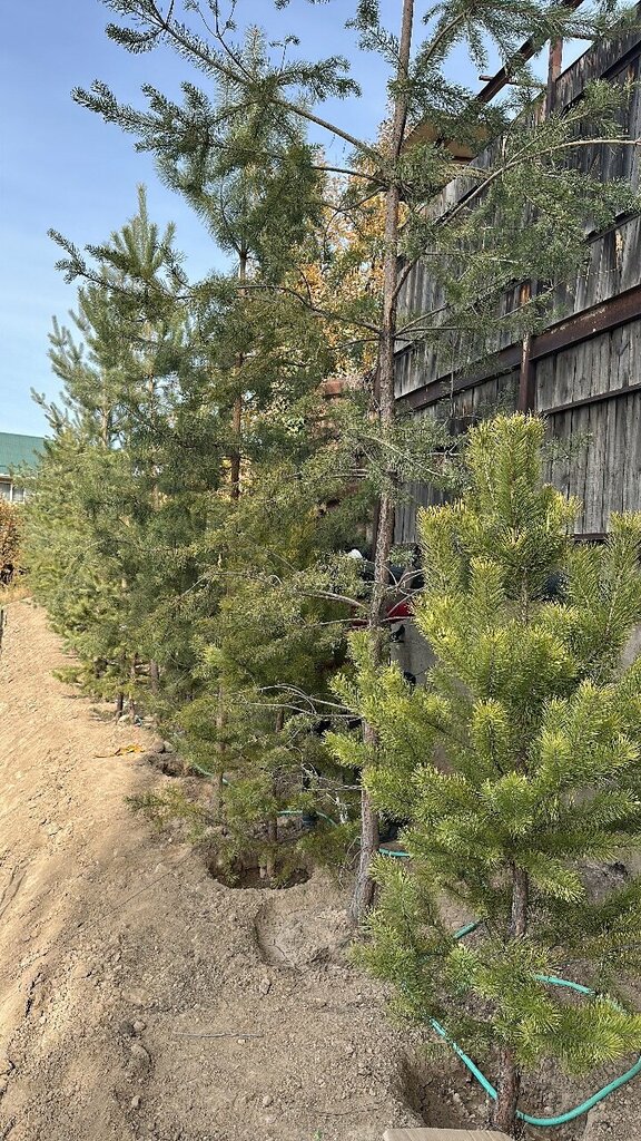 Konut blokları Las Casas Villas Terrenkur, Almatı, foto