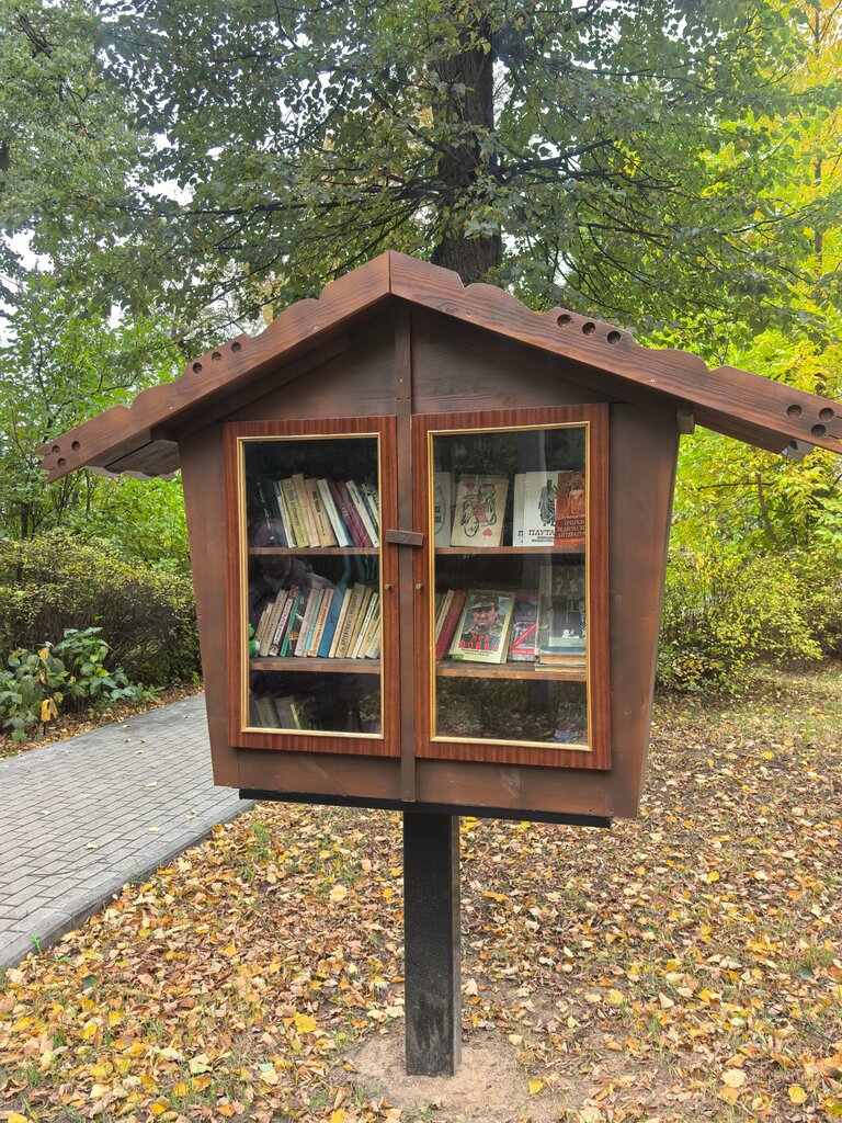 Gezgin kitap Буккроссинг, İvanovo, foto