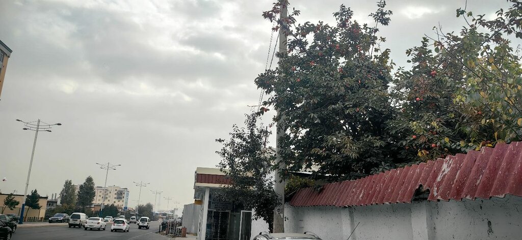 Market Grocery Store, Taşkent, foto