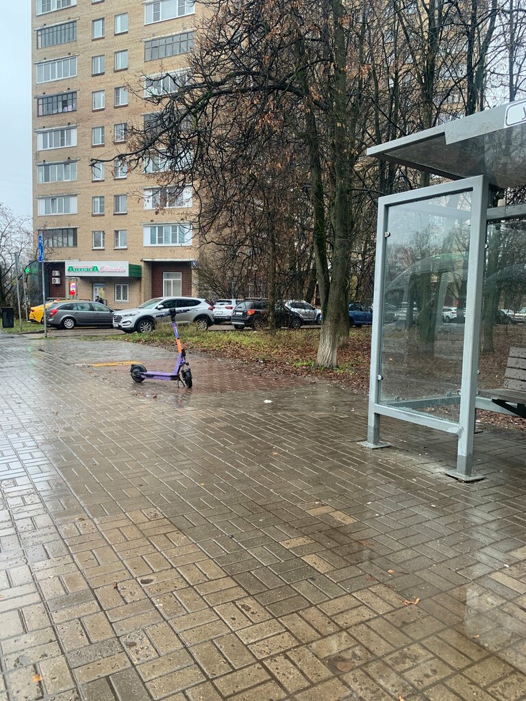 Çiçekçiler Цветы, Odintsovo, foto