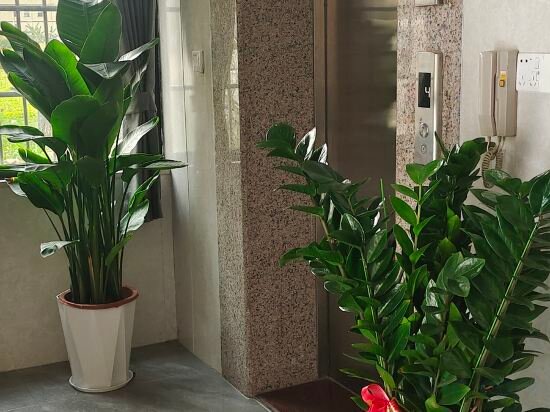 A Apartment, hotel, 50 meters west of Dunlop Tires, Hengboxia, Renji ...