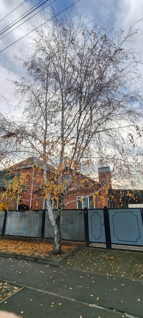 Spor barları Тайм-аут, Azov, foto