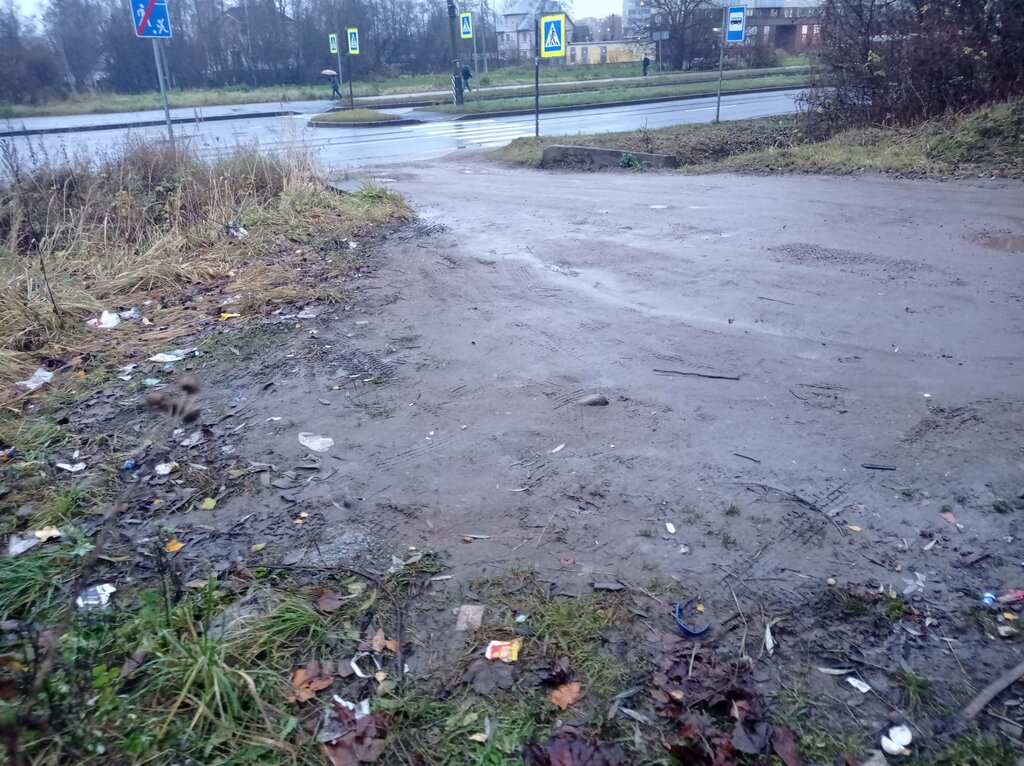 Çöp alanları Trash and garbage disposal area, Peterhof, foto