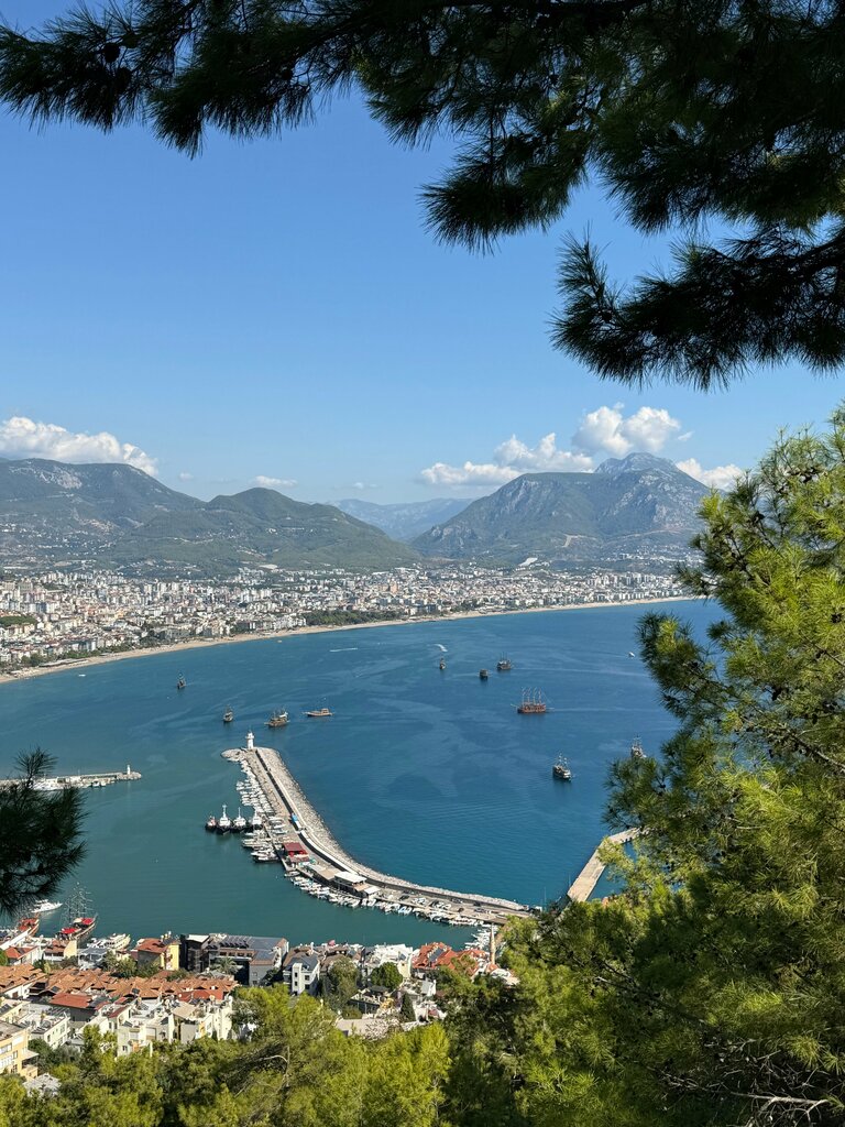 Seyahat acenteleri ТурАгентство Горящие туры, Vidnoye, foto